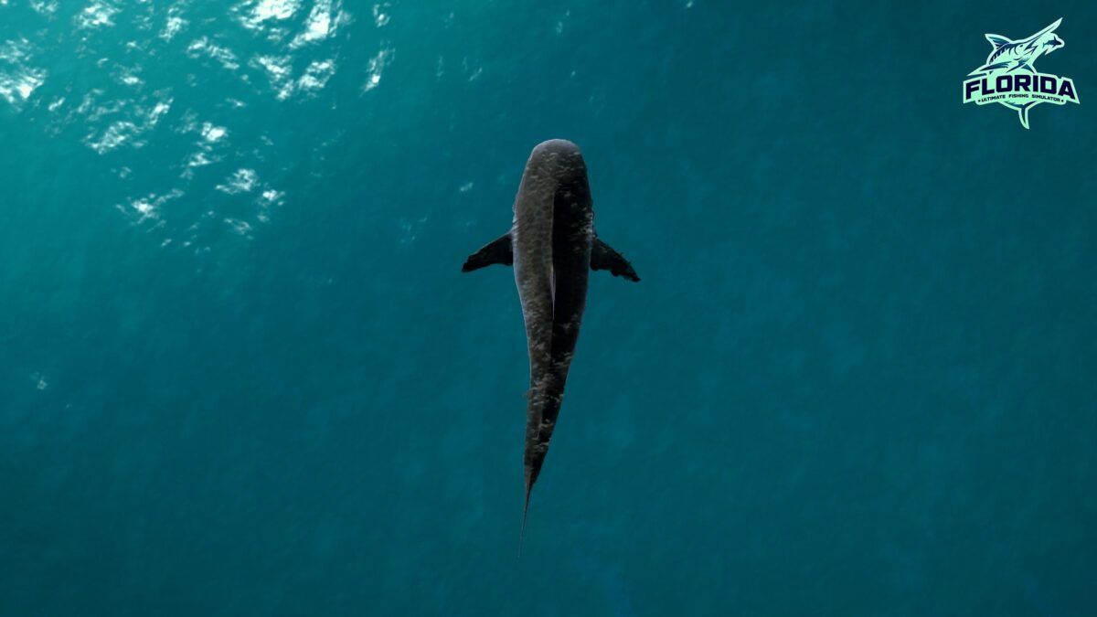 [Press release] Ultimate Fishing Simulator with new DLC. It’s time for ...